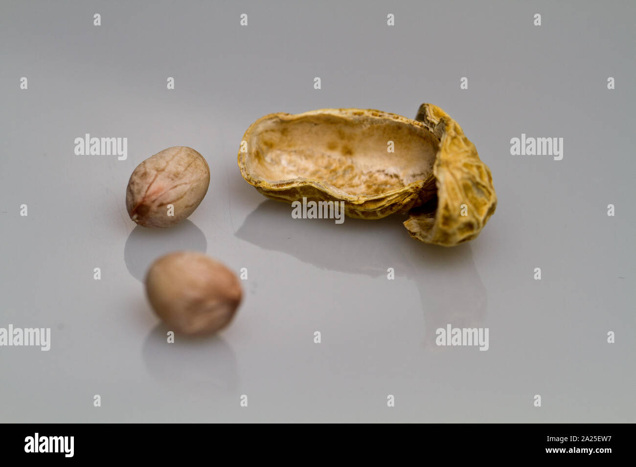 roasted ground-nut close up Stock Photo - Alamy