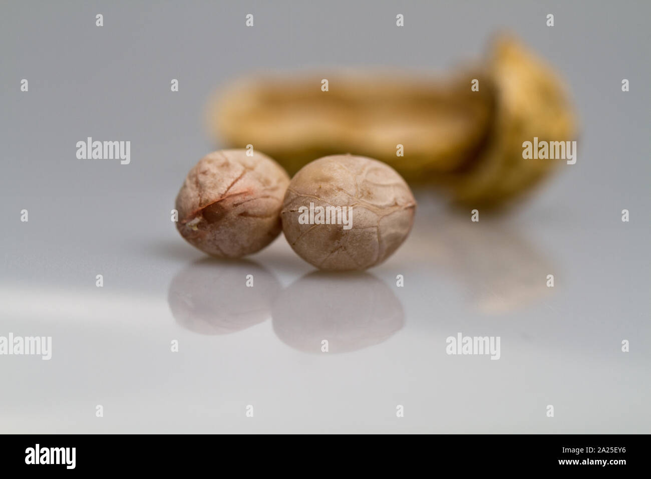 roasted ground-nut close up Stock Photo - Alamy