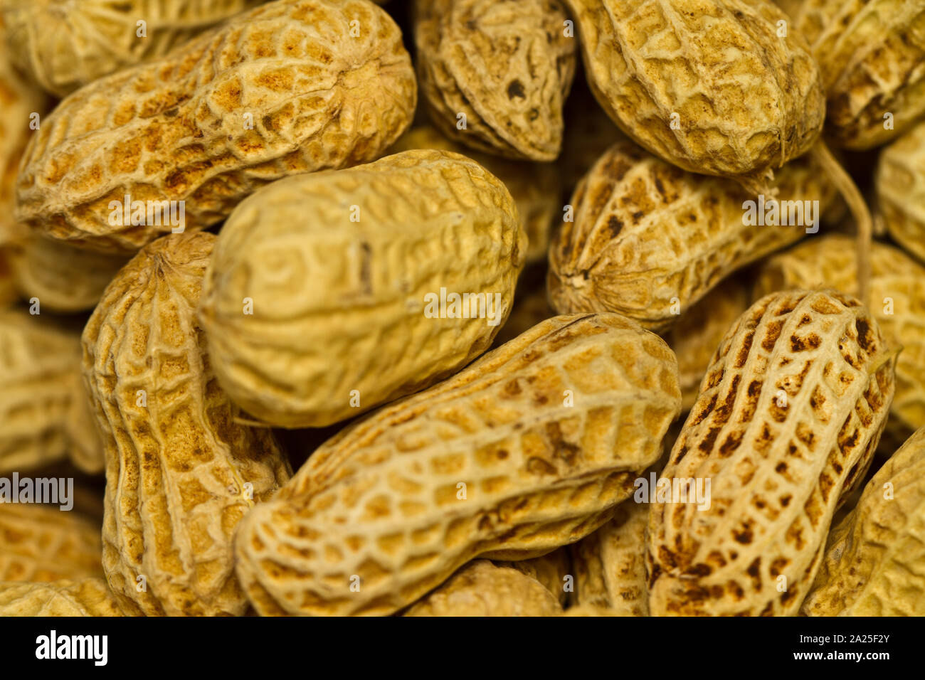 roasted ground-nut close up Stock Photo - Alamy