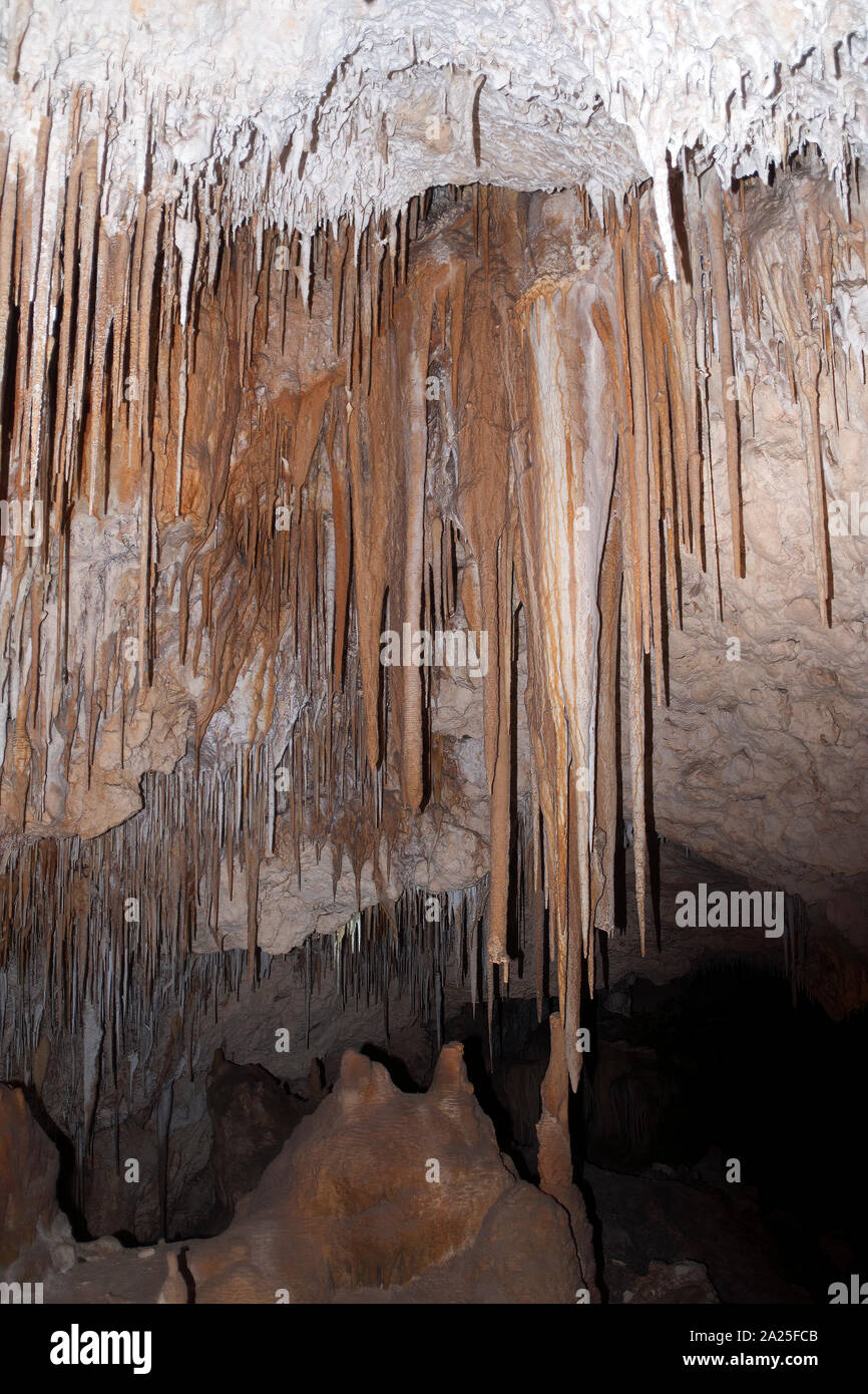 Kangaroo Island Australia, stalactites hanging from cave ceiling Stock ...