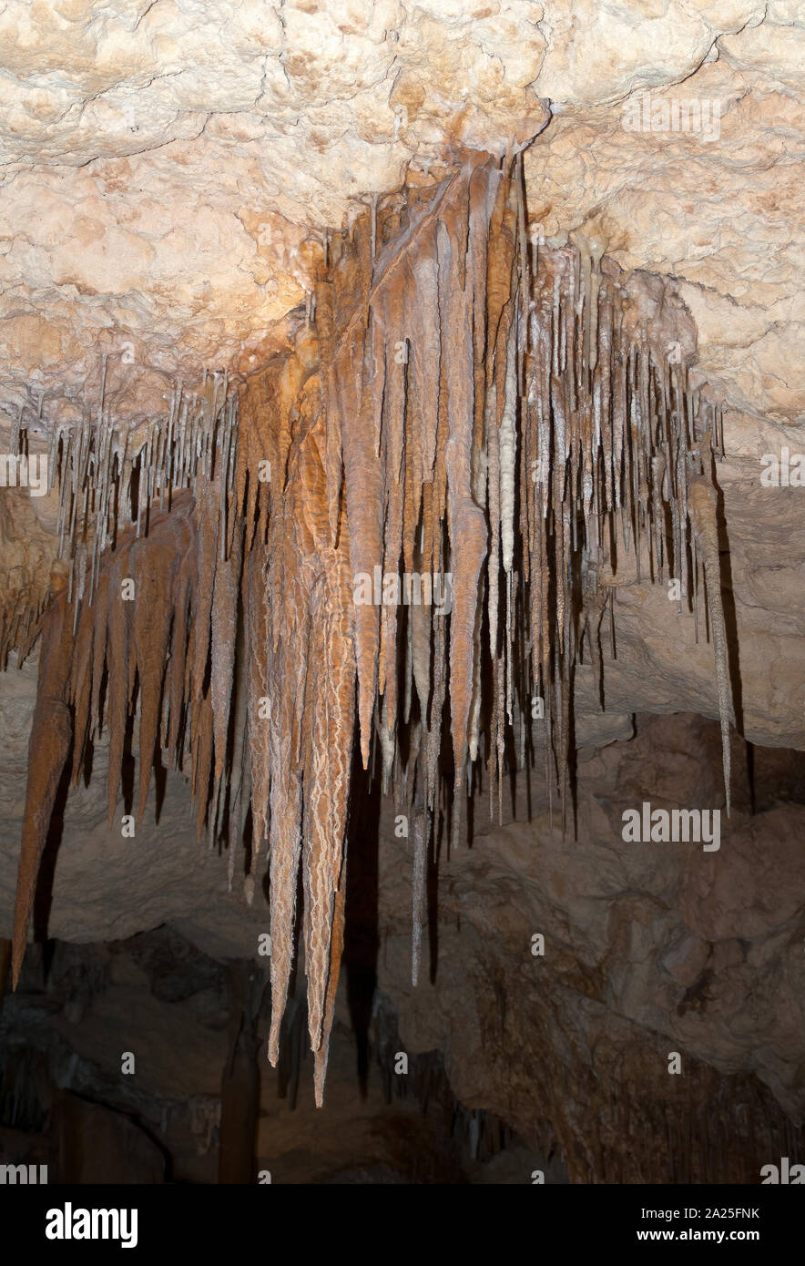 Kangaroo Island Australia, stalactites hanging from cave ceiling Stock ...