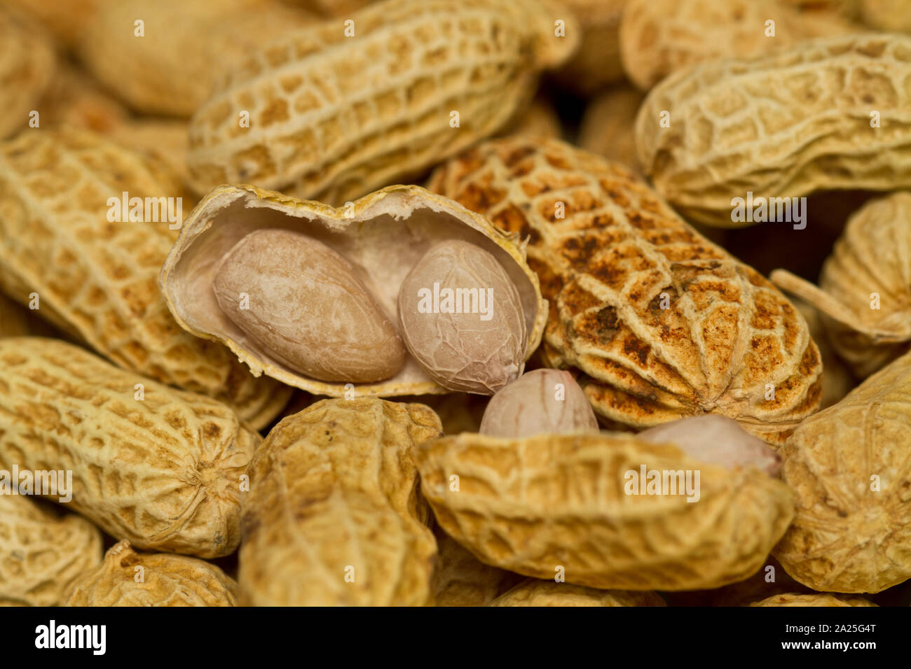 roasted ground-nut close up Stock Photo - Alamy
