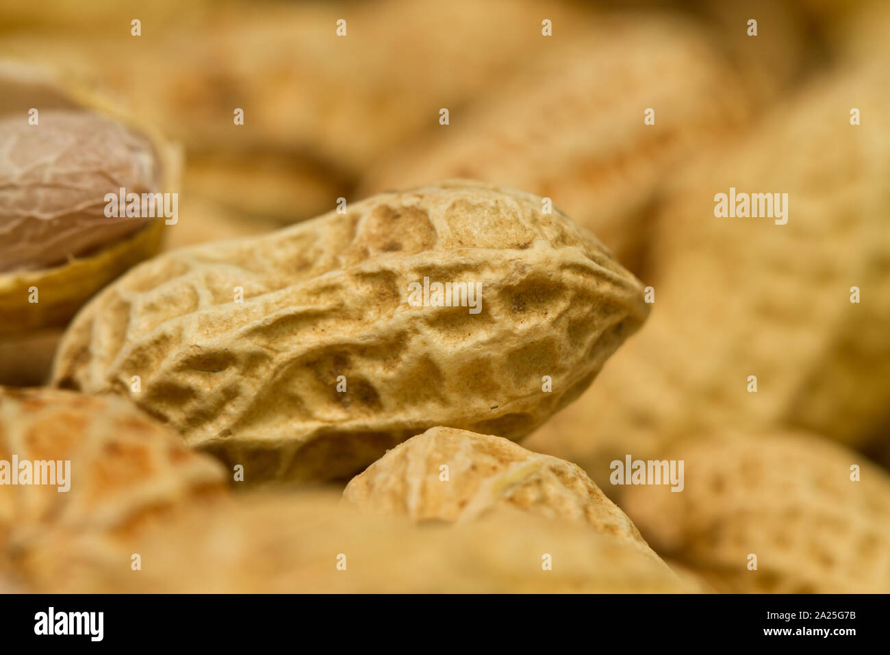 roasted ground-nut close up Stock Photo - Alamy