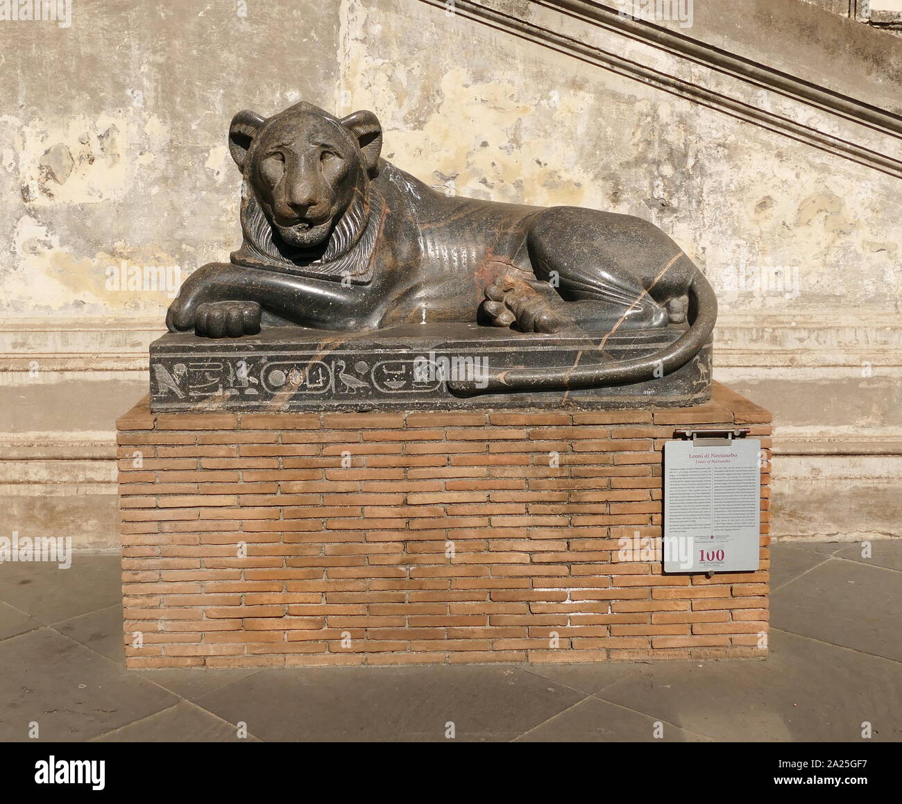 Lion statue in Vatican City, Rome Stock Photo - Alamy