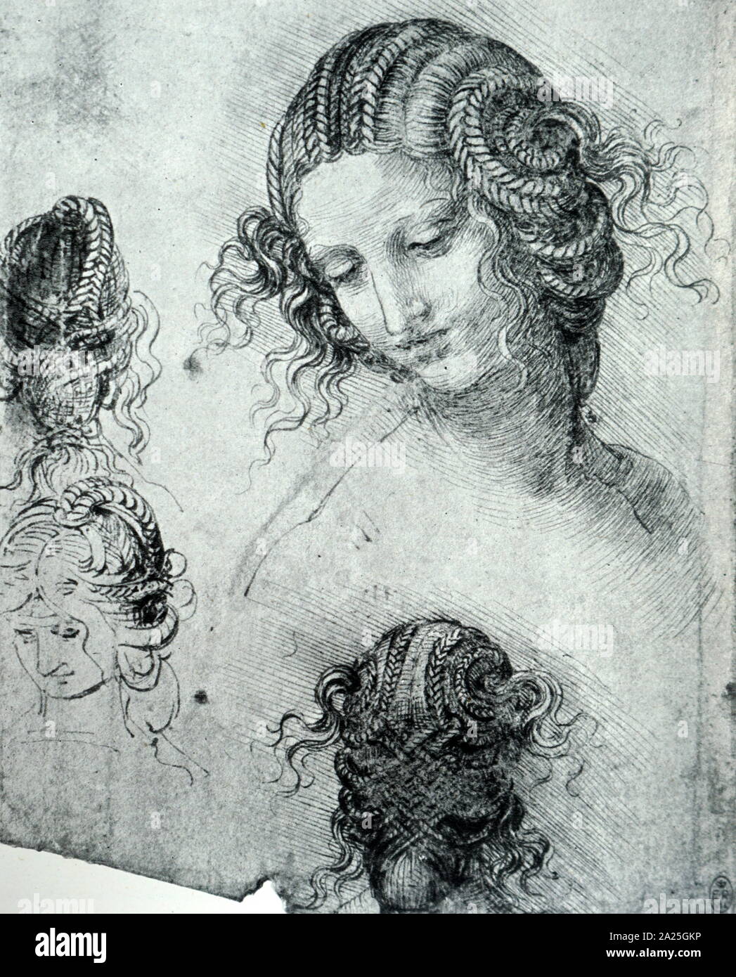 Sketch titled 'Head of Leda' by Leonardo da Vinci. Leonardo di ser ...