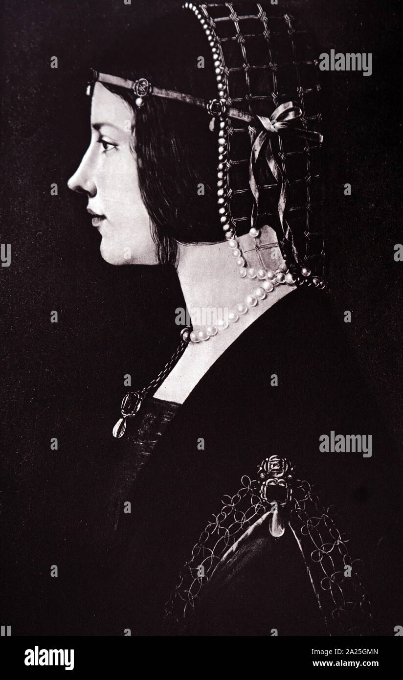 Portrait of a Lady by Leonardo da Vinci. Leonardo di ser Piero da Vinci ...