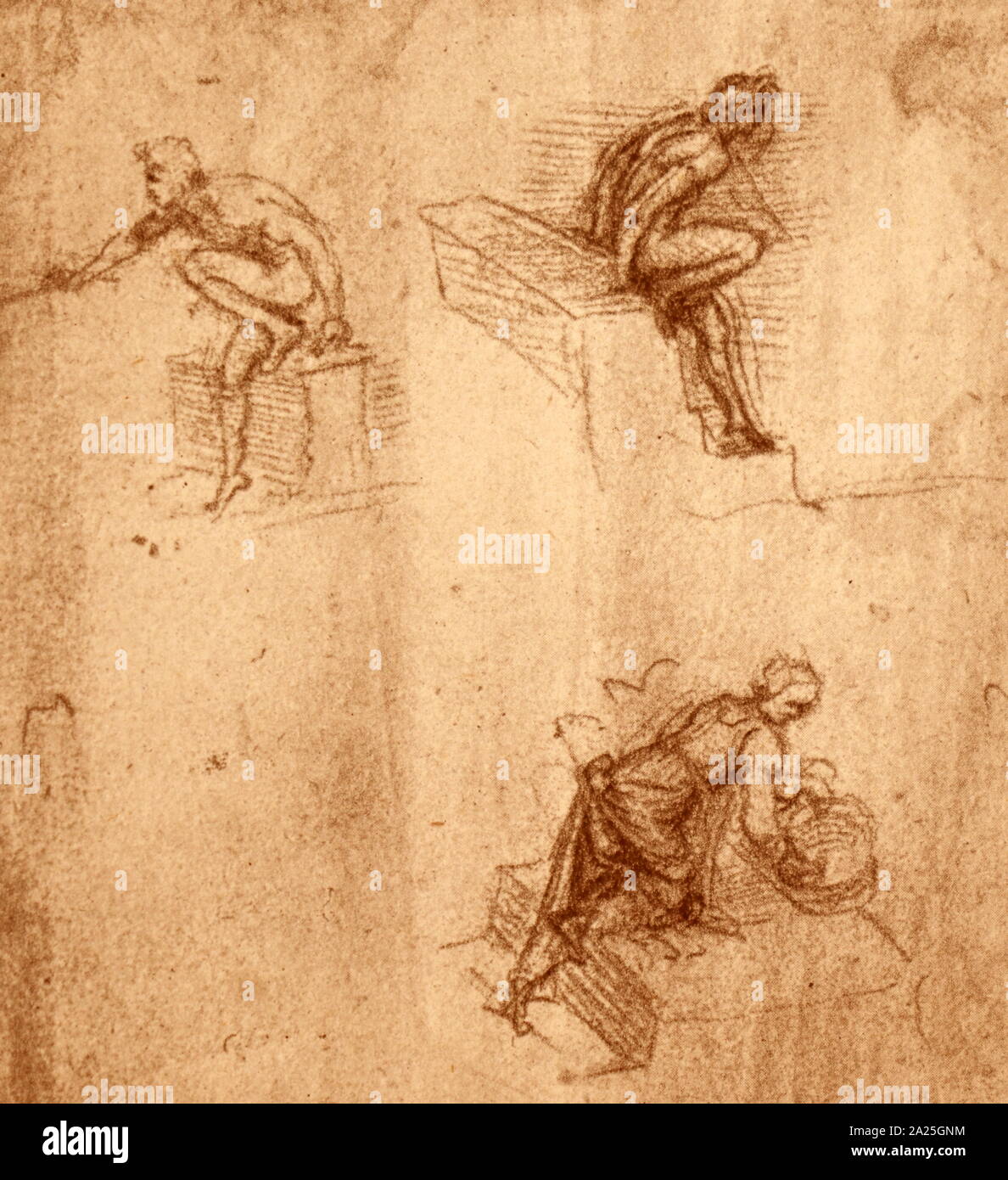 Studies of the movement of the human figure by Leonardo da Vinci ...