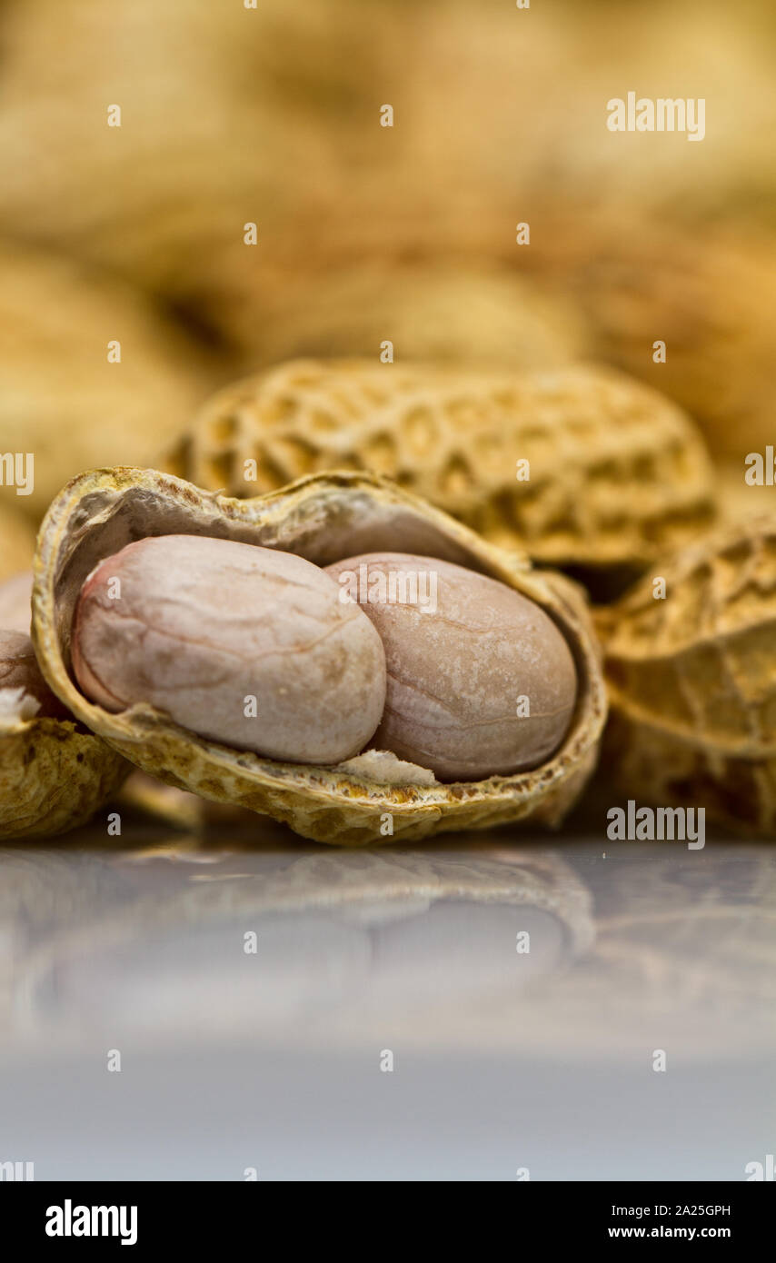 roasted ground-nut close up Stock Photo - Alamy