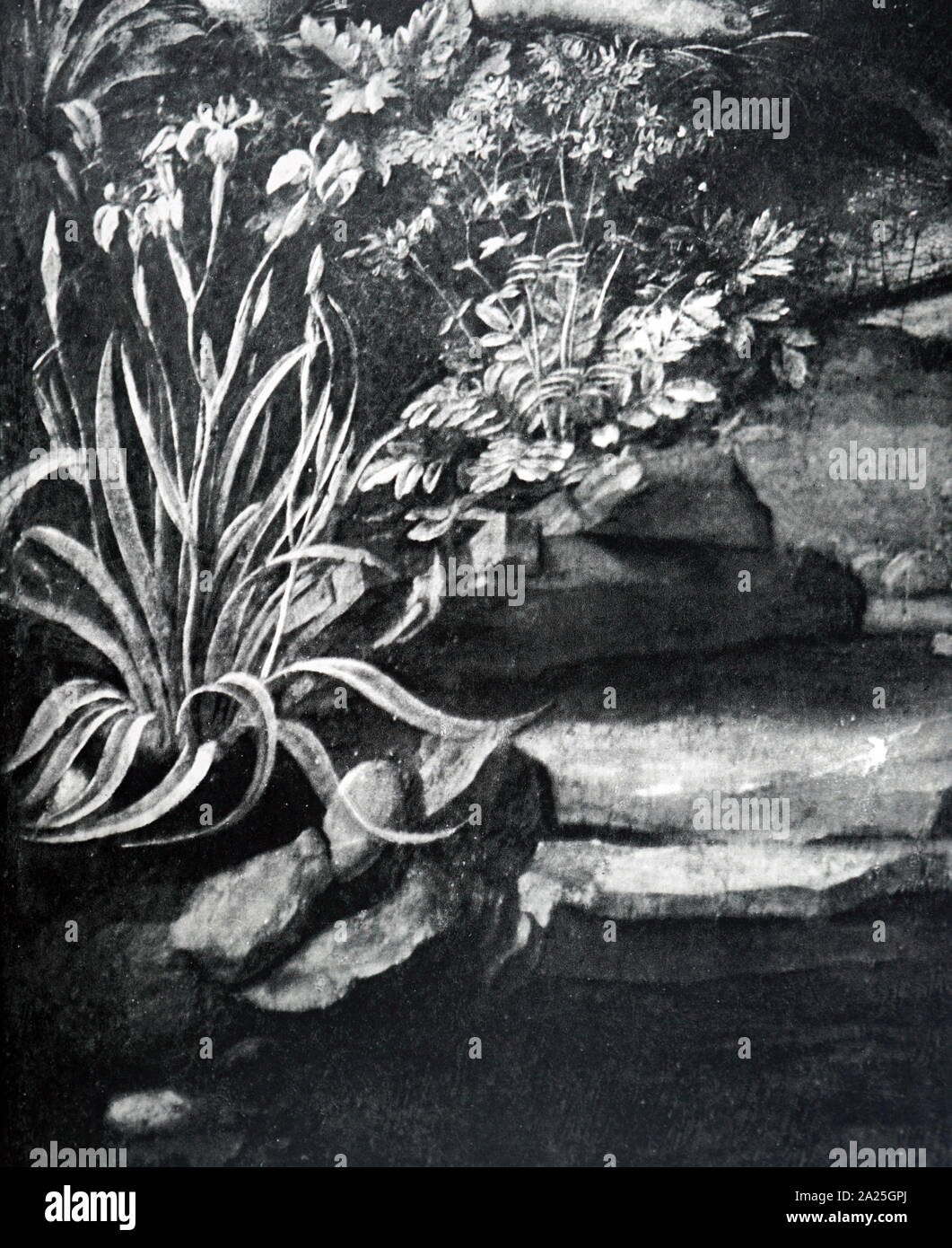 Study from Madonna of the Rocks by Leonardo da Vinci. Leonardo di ser ...