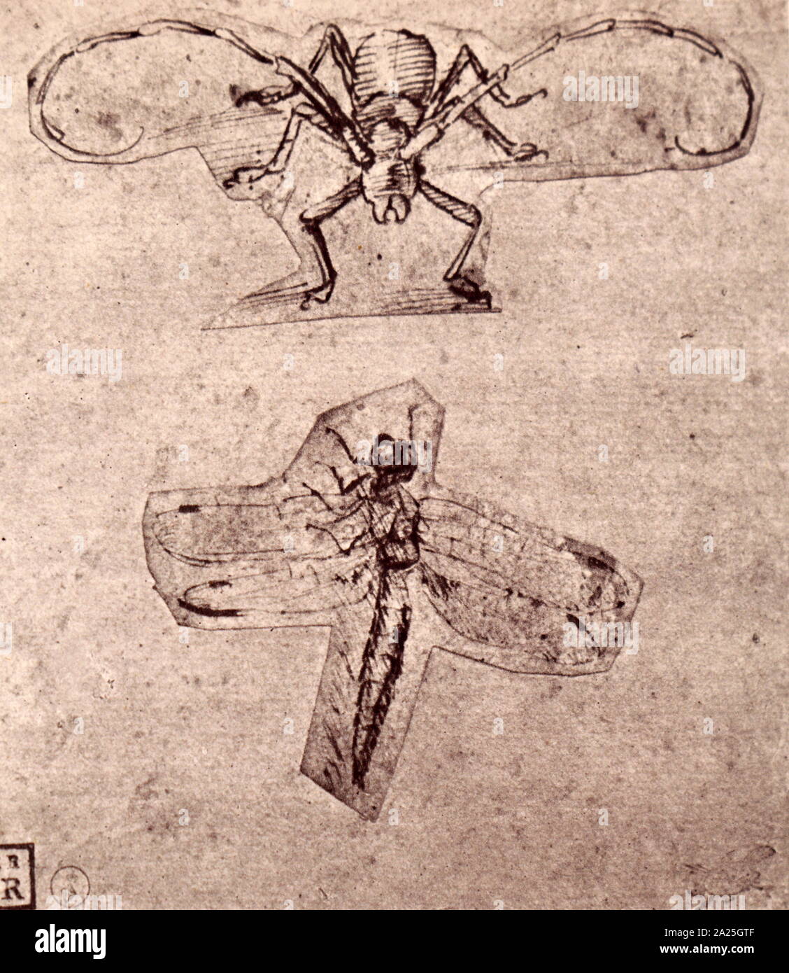 Sketch dragon hi-res stock photography and images - Alamy