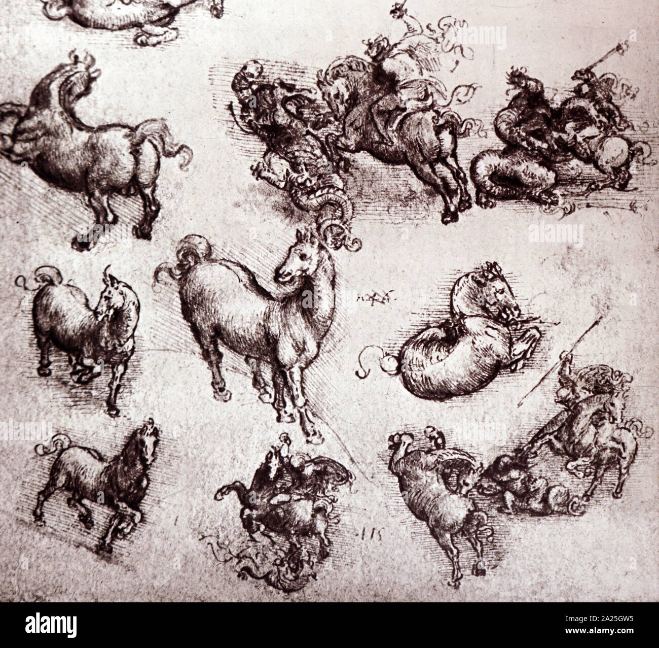 Study of St George and the Dragon by Leonardo da Vinci. Leonardo di ser ...