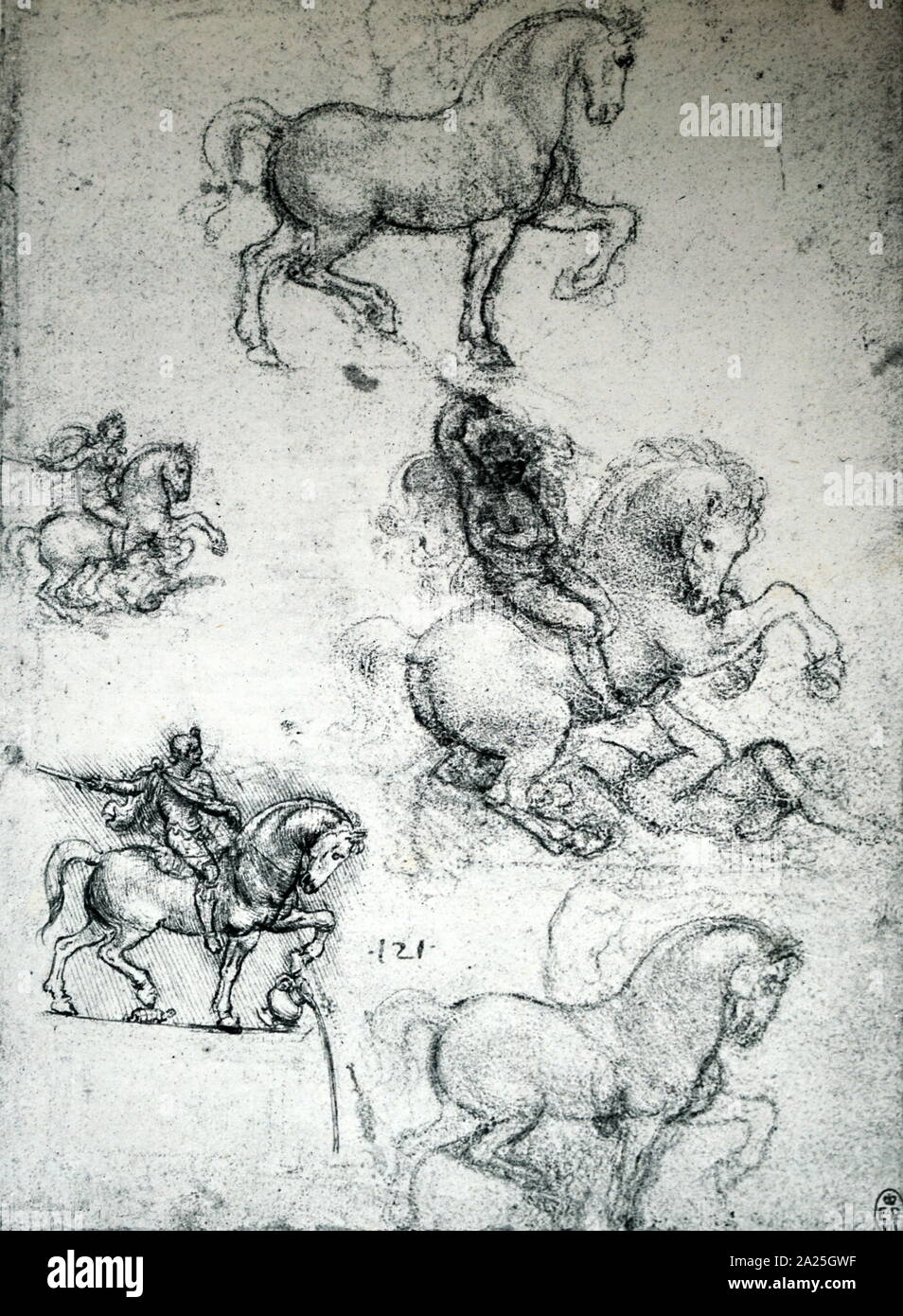 Study for the Sforza Monument by Leonardo da Vinci. Leonardo di ser ...