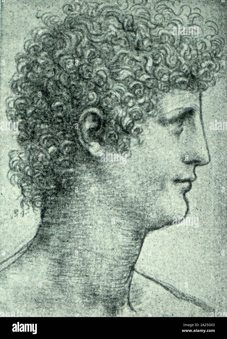 Portrait of Salai by Leonardo da Vinci. Leonardo di ser Piero da Vinci ...