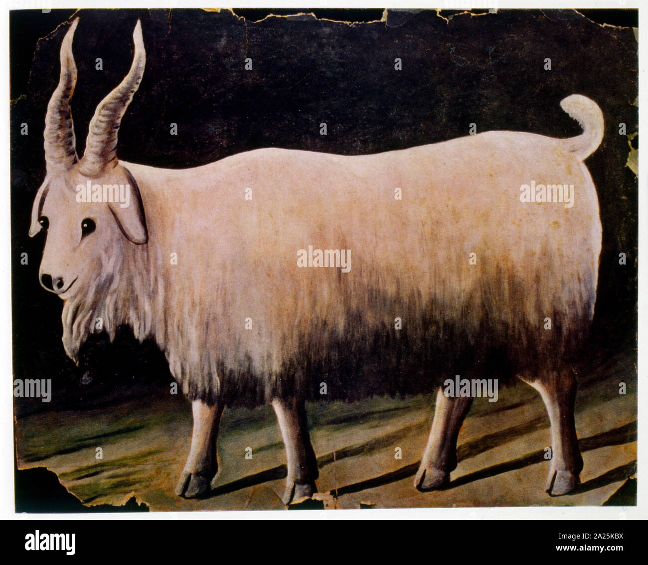 Pirosmani High Resolution Stock Photography and Images - Alamy