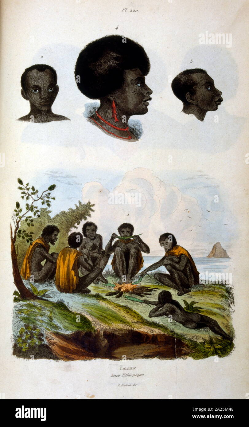 Anthropological illustration ethiopian race hi-res stock photography ...