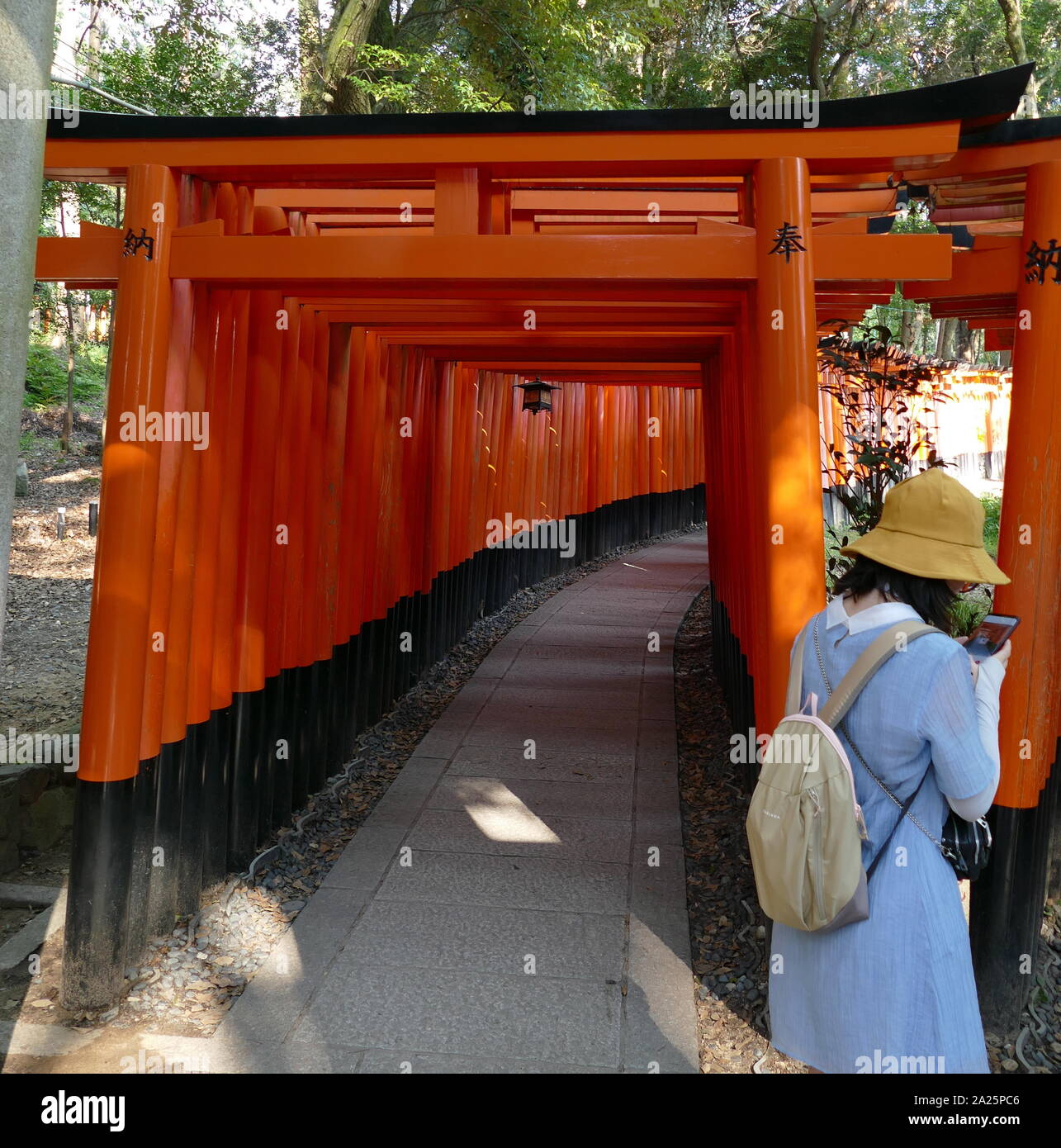 Fushimi Inari-taisha shrine, in Fushimi-ku, Kyoto, Japan Stock Photo ...