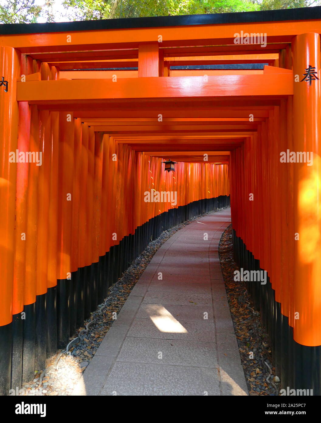 Fushimi Inari-taisha shrine, in Fushimi-ku, Kyoto, Japan Stock Photo ...