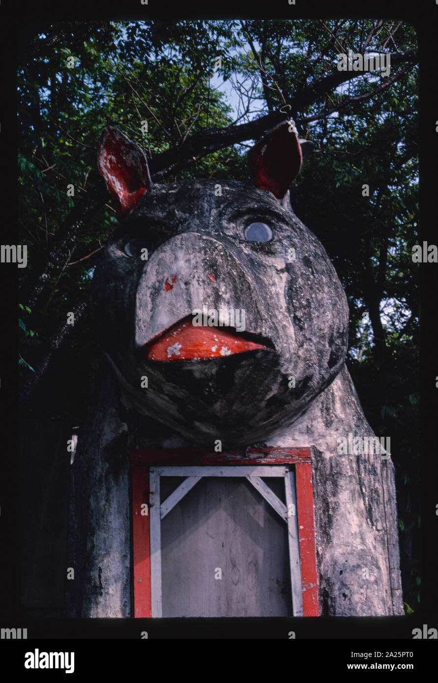 Pig Stand, San Antonio, Texas Stock Photo - Alamy