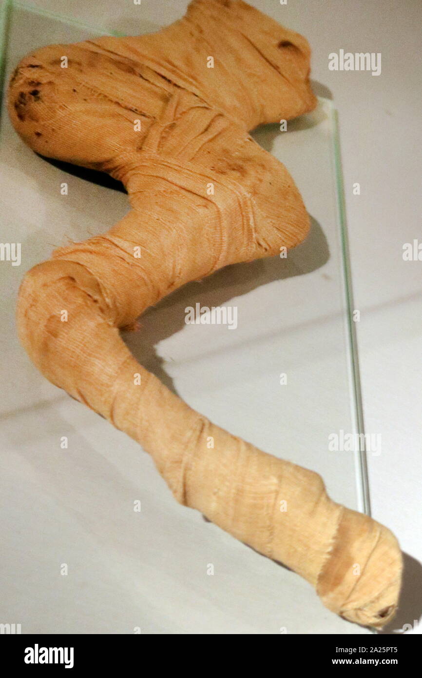 Ancient egyptian mummy hi-res stock photography and images - Alamy
