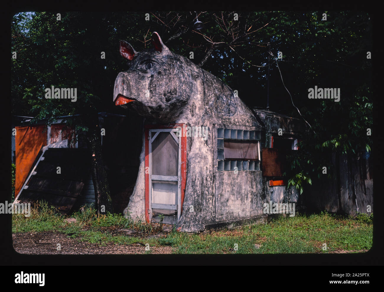Pig Stand, San Antonio, Texas Stock Photo - Alamy