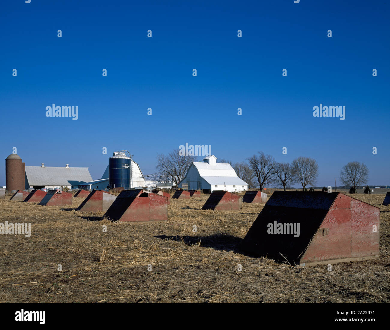 Pig stys hi-res stock photography and images - Alamy