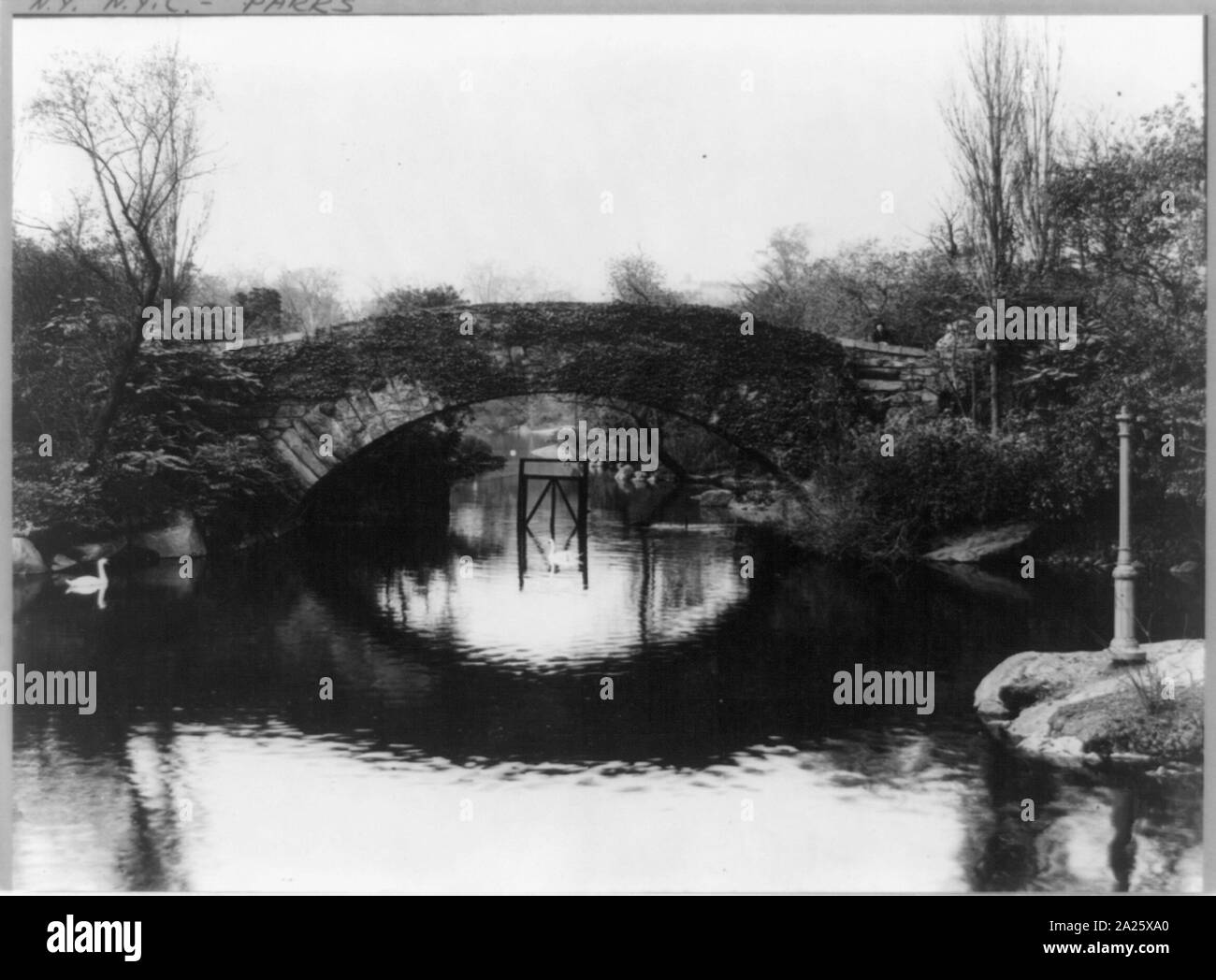 Pine Arch Bridge, Central Park, New York City Stock Photo - Alamy