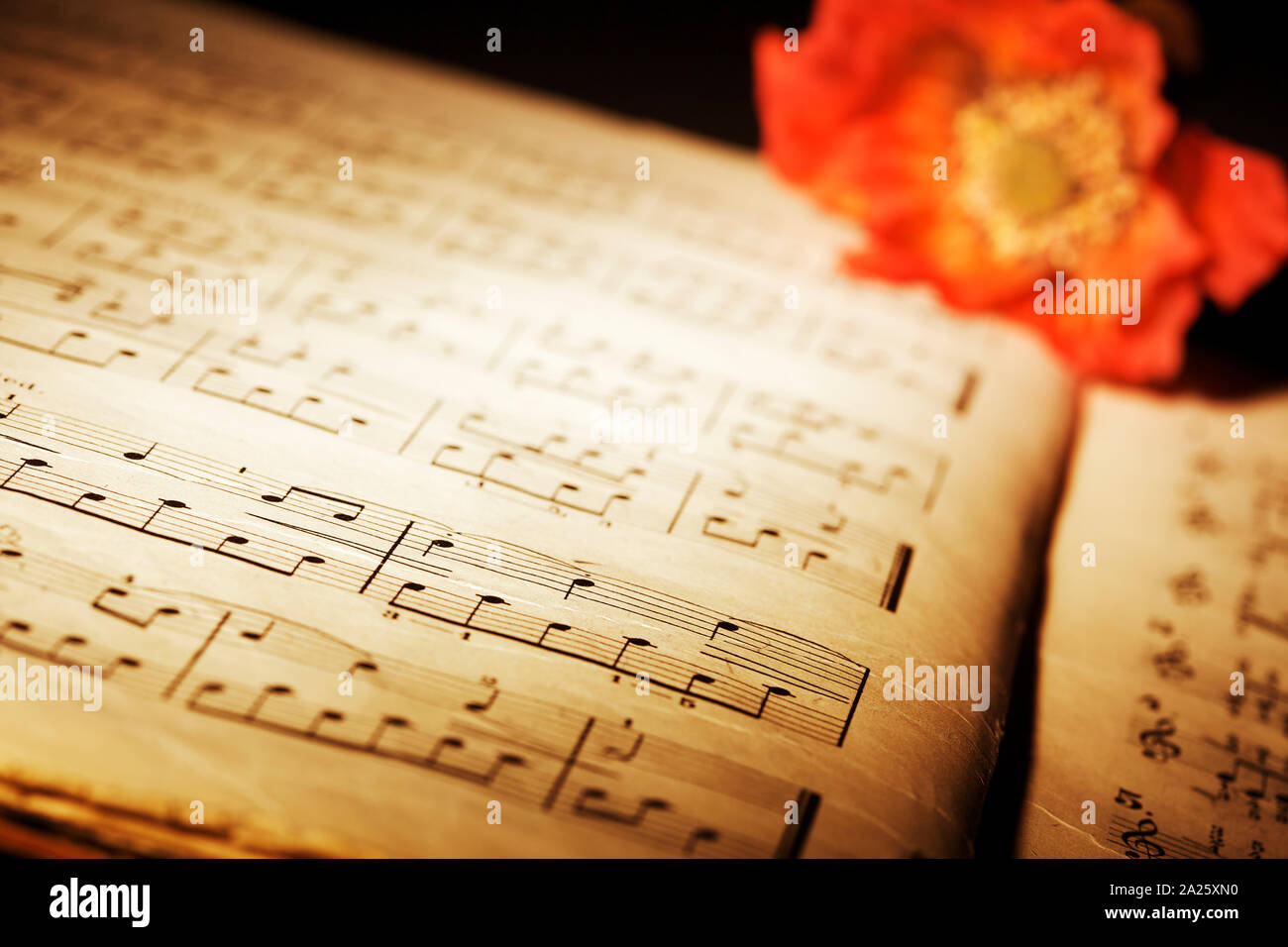 Poppy on music sheet Stock Photo - Alamy