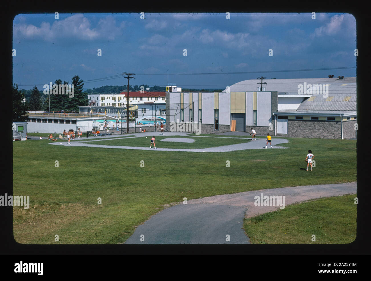 Pines, baseball, New York Stock Photo - Alamy