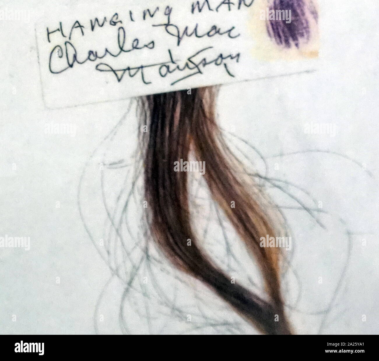 A lock of Charles Manson's hair. Charles Milles Manson (1934-2017) an ...