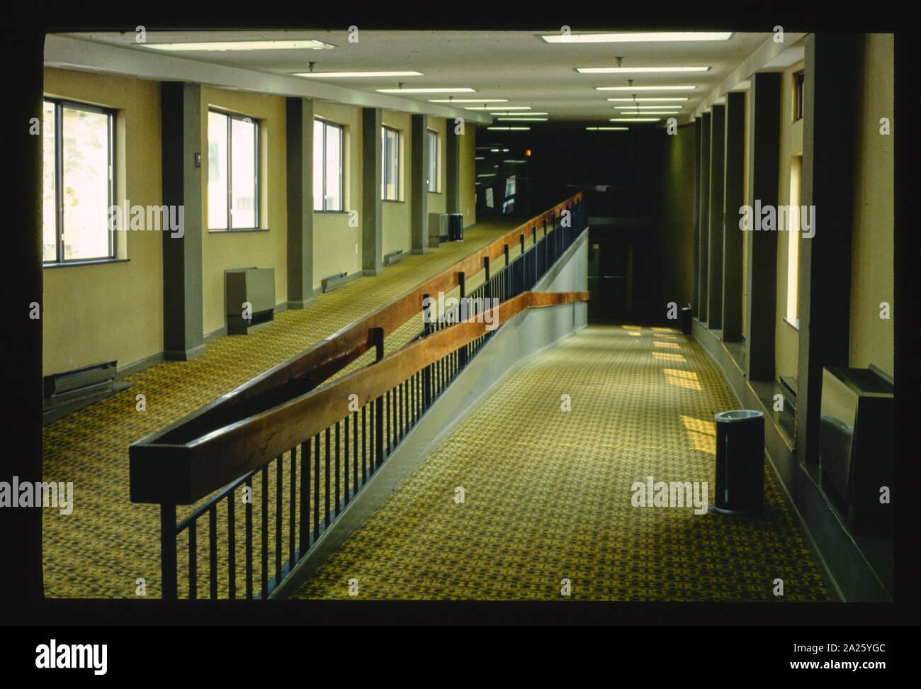 Pines, double ramp, New York Stock Photo - Alamy