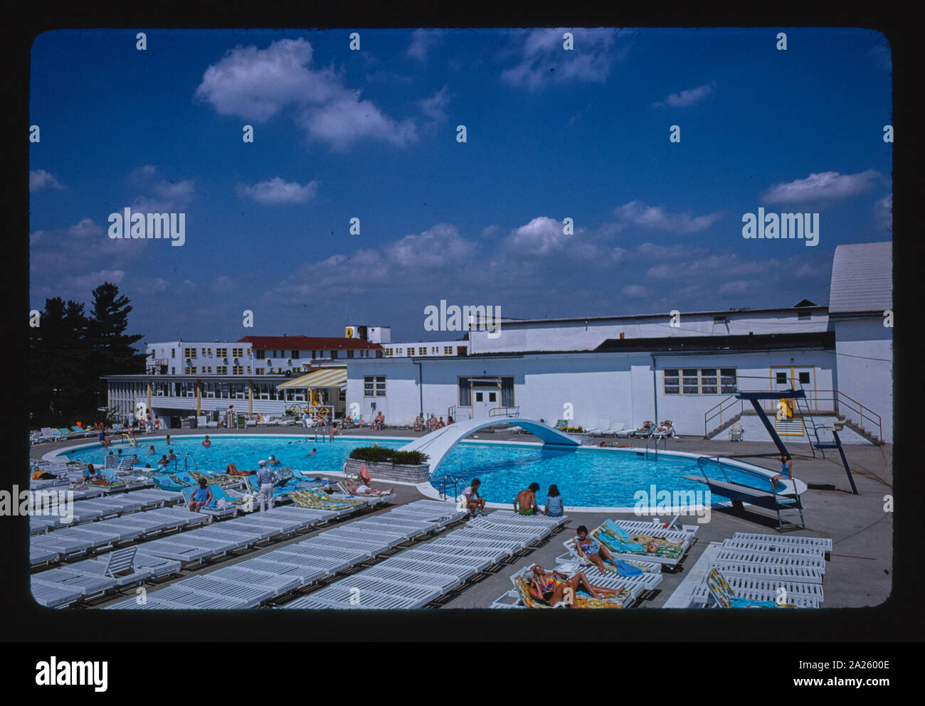 Pines, pool, New York Stock Photo - Alamy