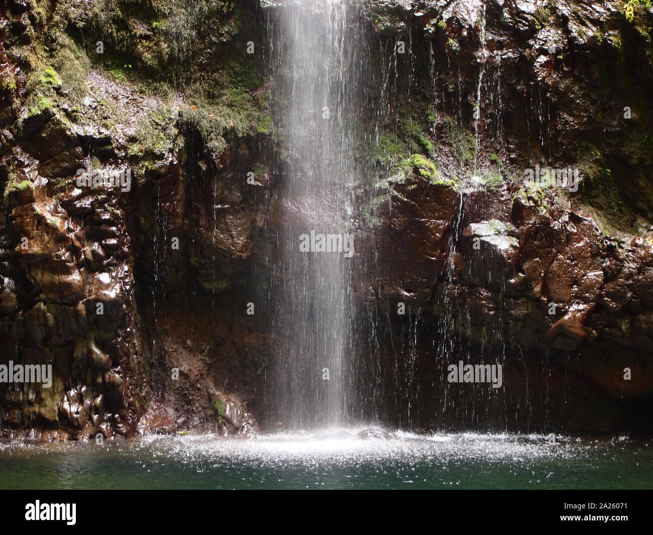 Waterfall in the midst of the laurel forests in Madeira island ...