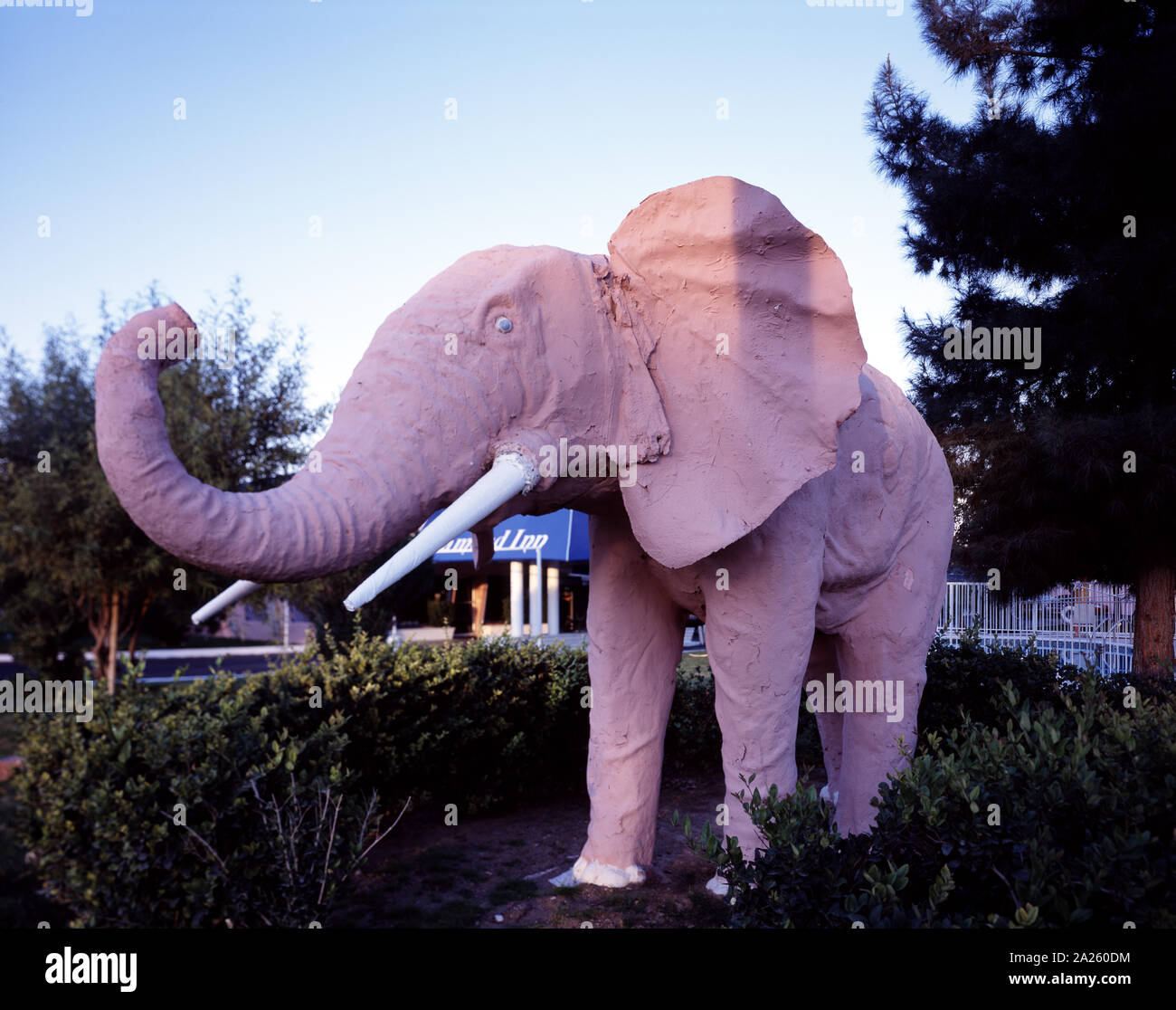 The diamond inn hi-res stock photography and images - Alamy