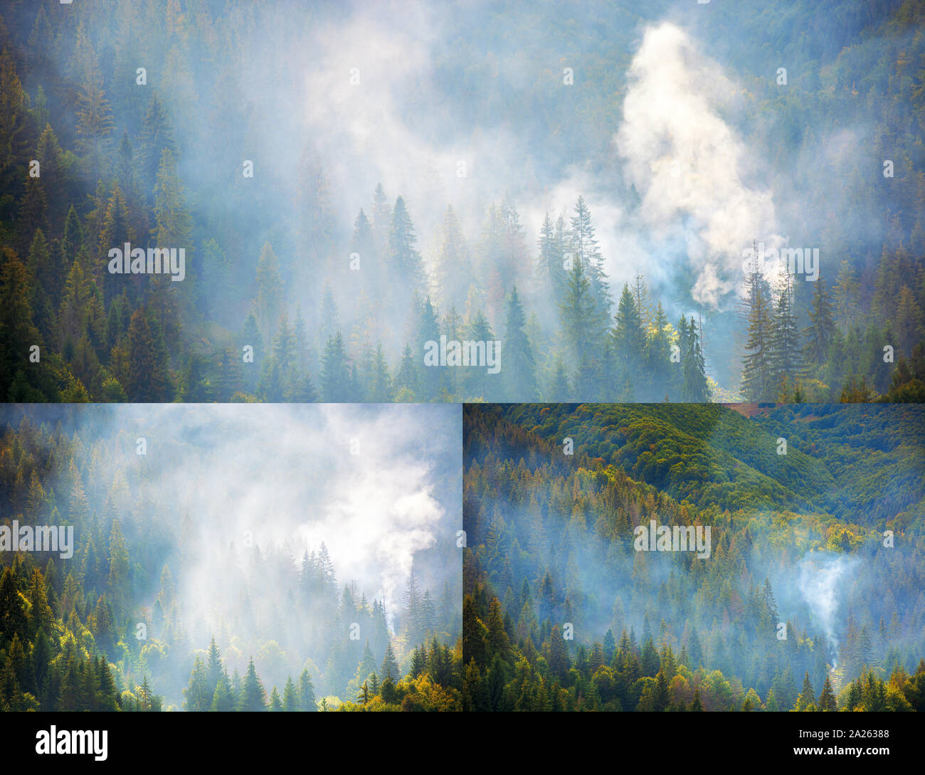 smoke in the woods. disaster on a dry autumn weather. collage of images ...