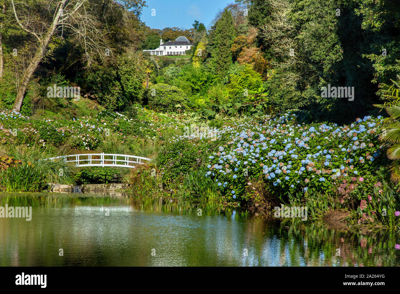 Trebah Garden; Autumn; Cornwall; UK Stock Photo - Alamy
