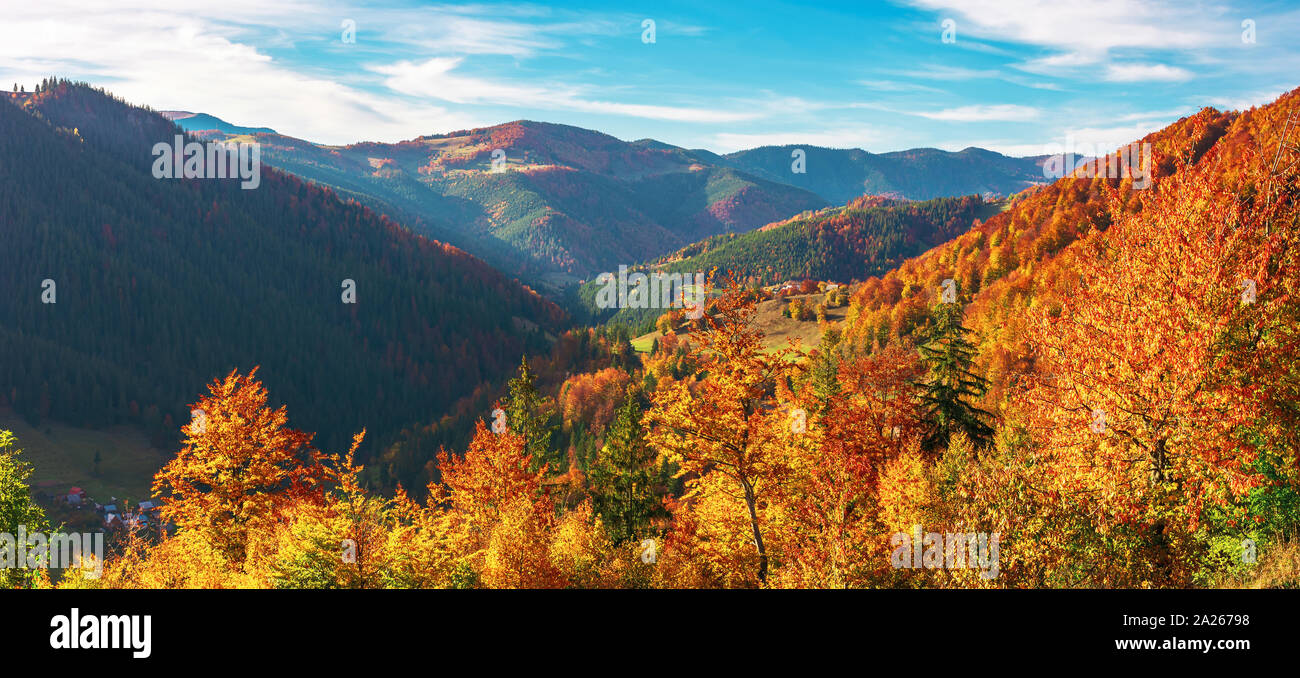 great panoramic view of romania mountain landscape. forested slopes in ...