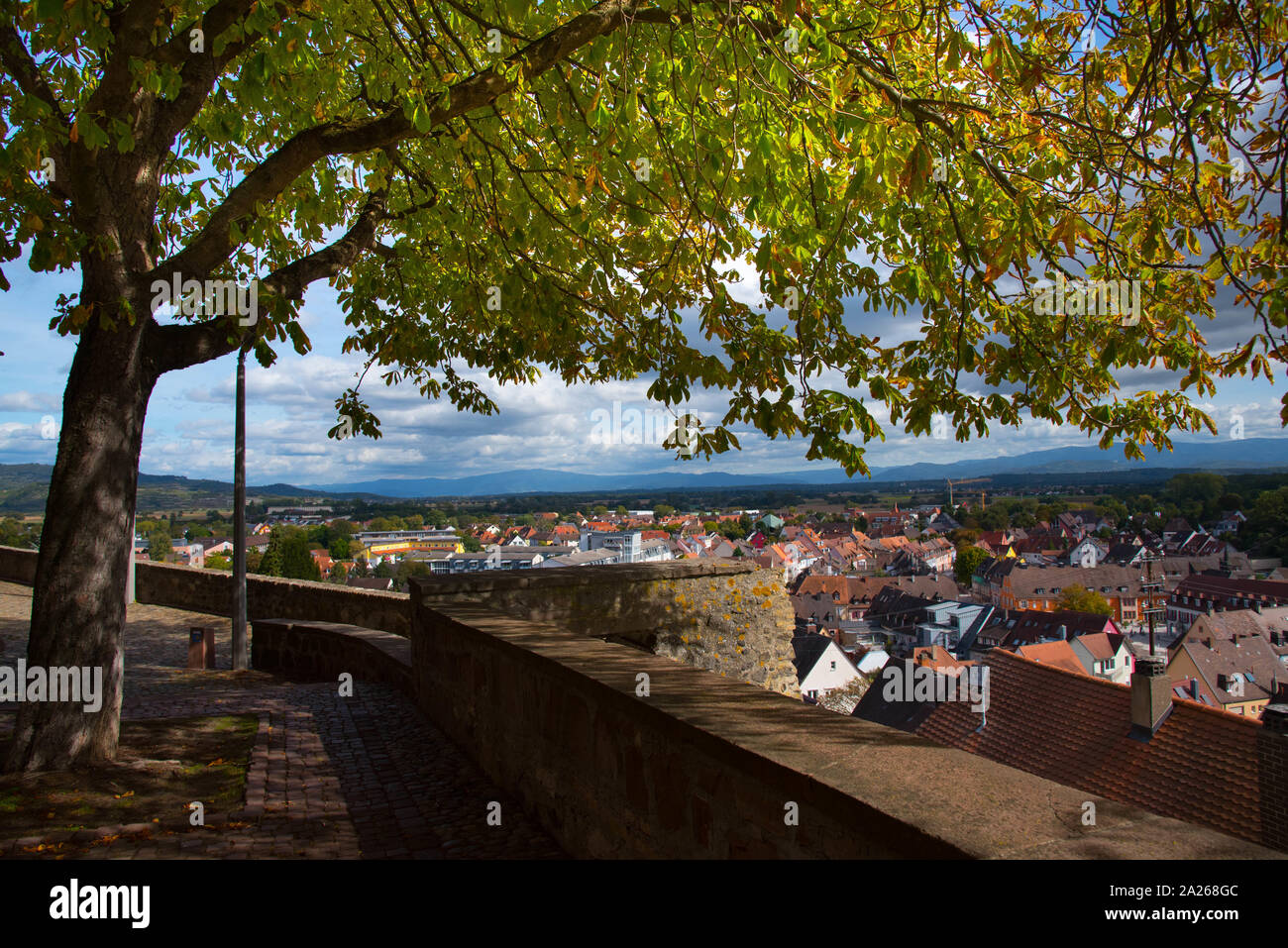 Beautiful village Breisach am Rhein in the Kaiserstuhl area in germany ...