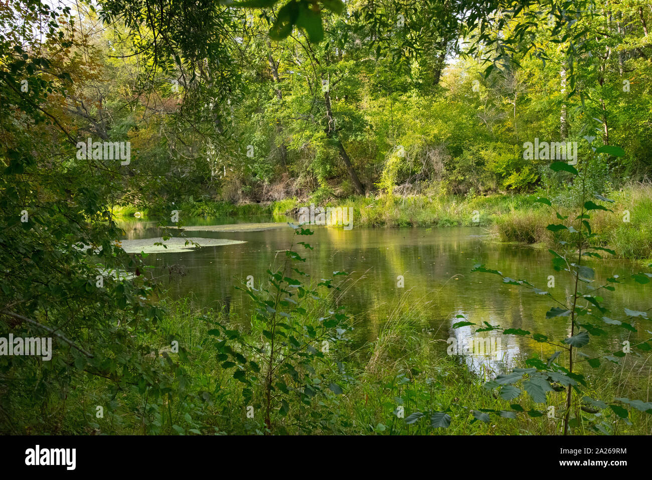 Breisach rhine river hi-res stock photography and images - Alamy