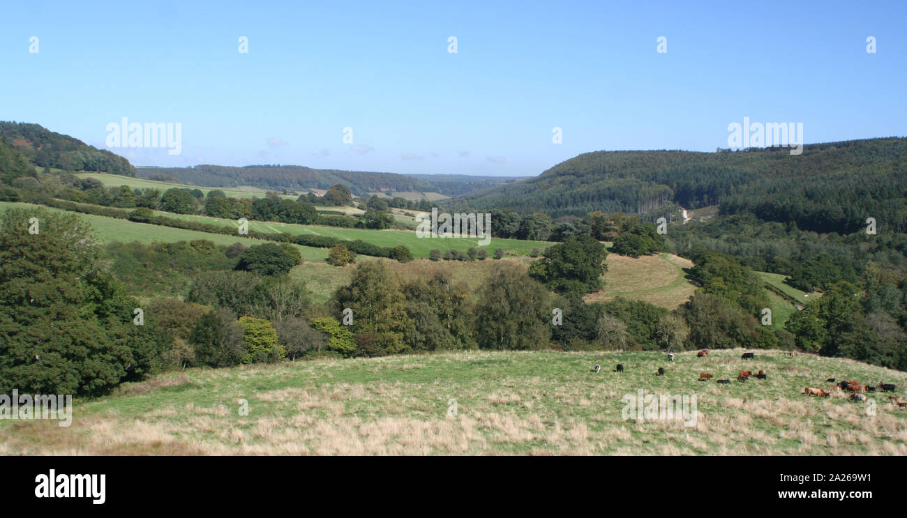 Yorkshire dal hi-res stock photography and images - Alamy