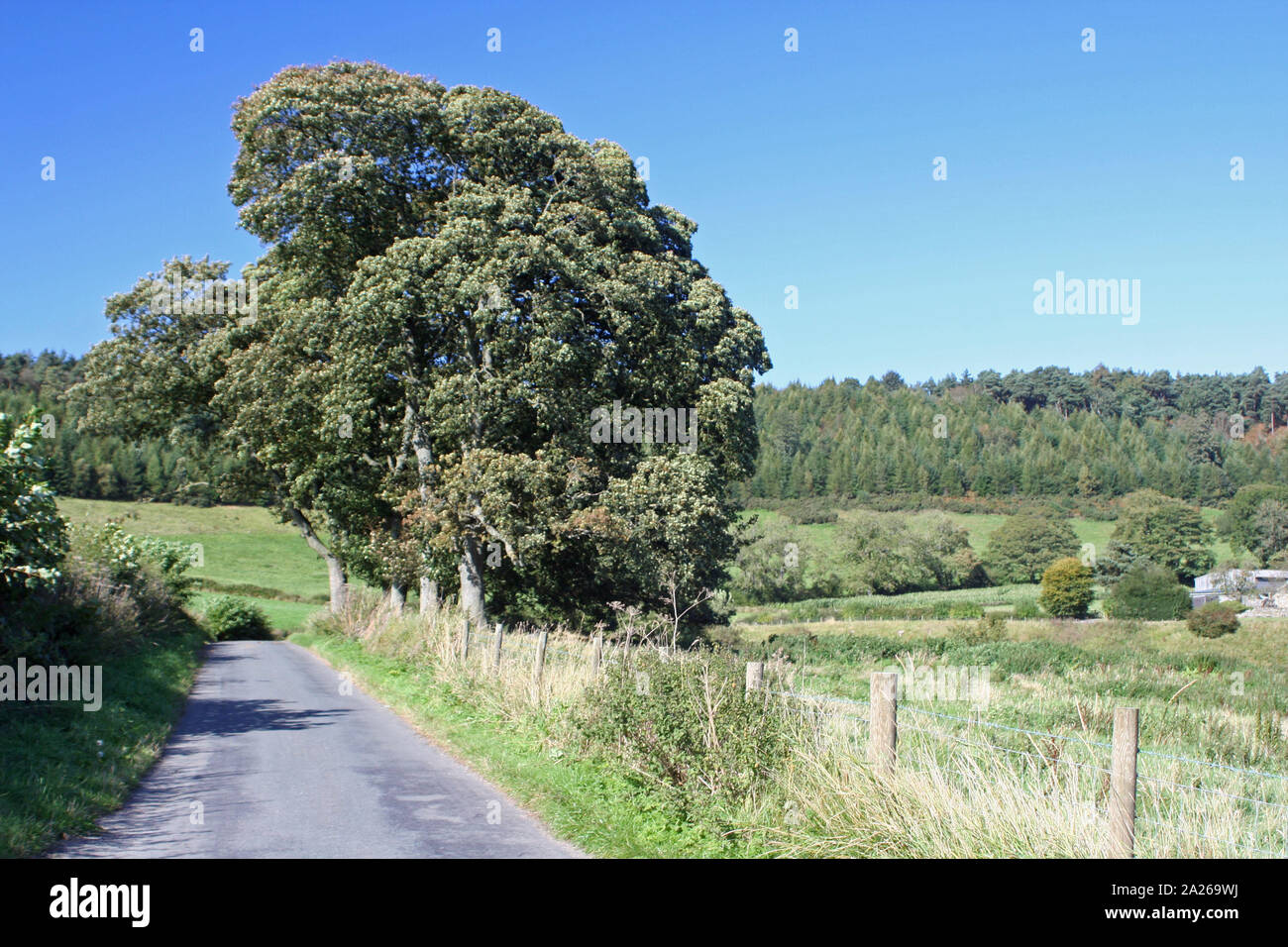 Yorkshire dal hi-res stock photography and images - Alamy