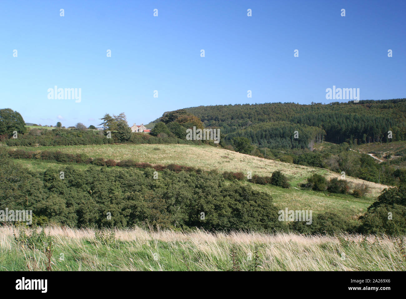 Yorkshire dal hi-res stock photography and images - Alamy