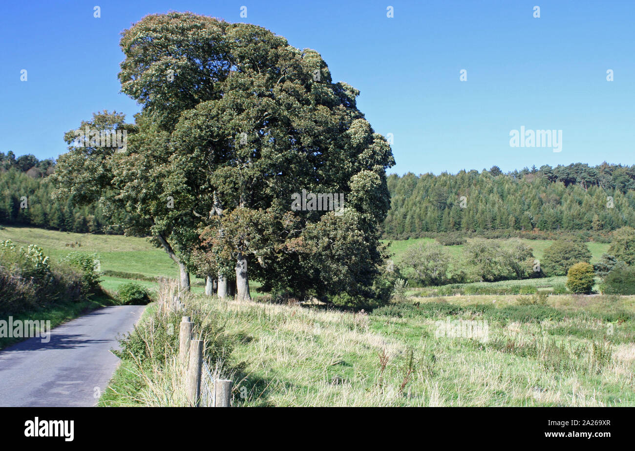 Yorkshire dal hi-res stock photography and images - Alamy