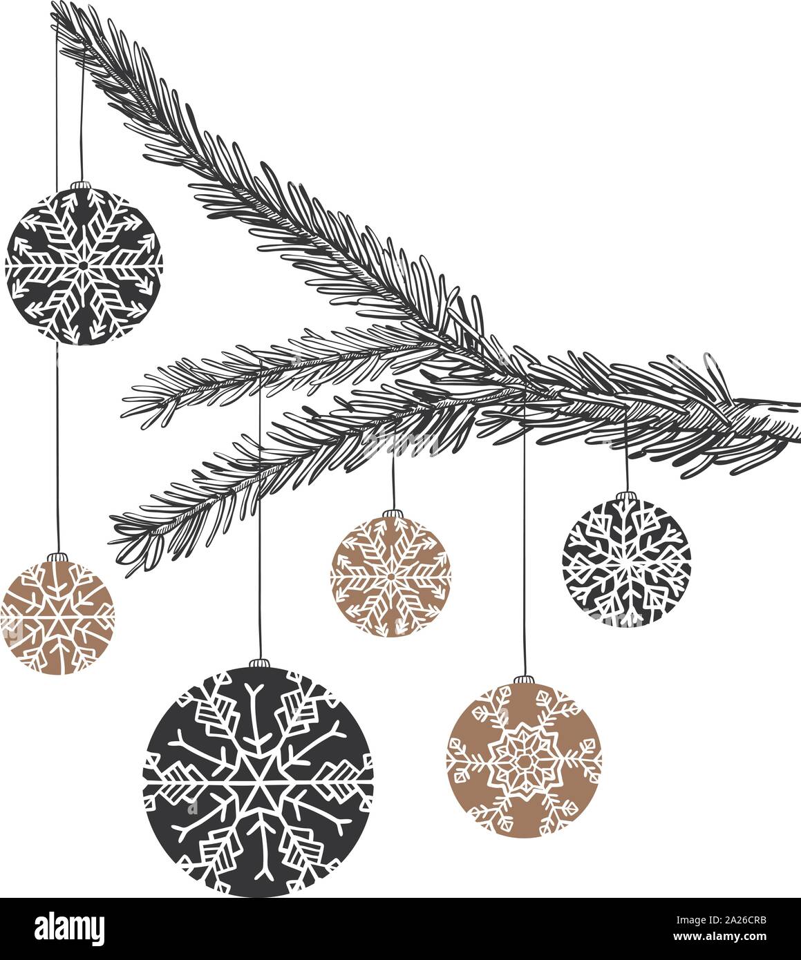 Branches from pine fir Cut Out Stock Images & Pictures - Alamy