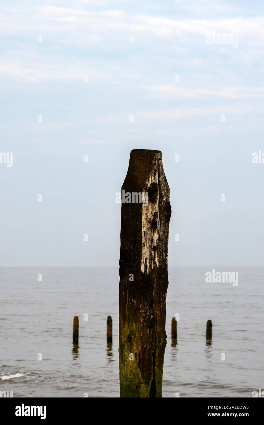 Wooden groynes north sea hi-res stock photography and images - Alamy