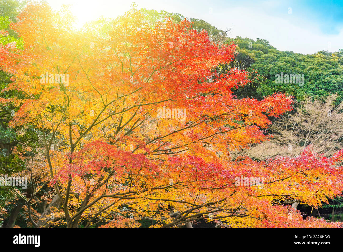 Josiah conder japan hi-res stock photography and images - Alamy