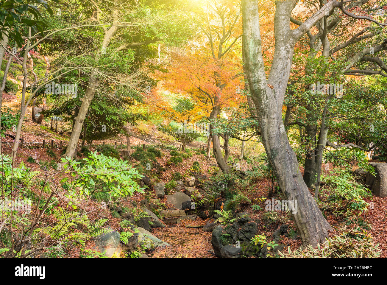 Tokyo Metropolitan Park KyuFurukawa japanese garden's stream ...