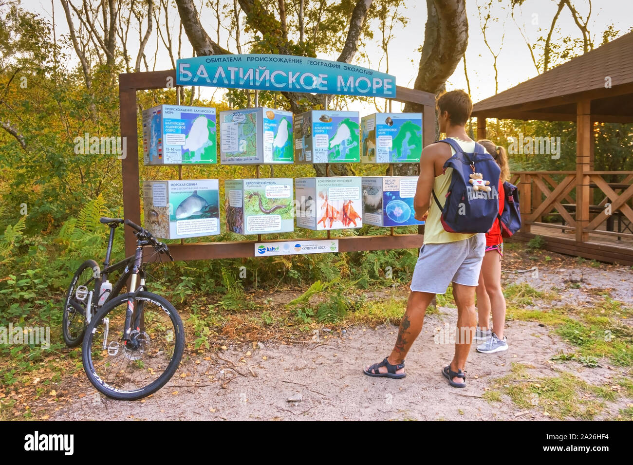 Map Of Curonian Spit High Resolution Stock Photography and Images - Alamy