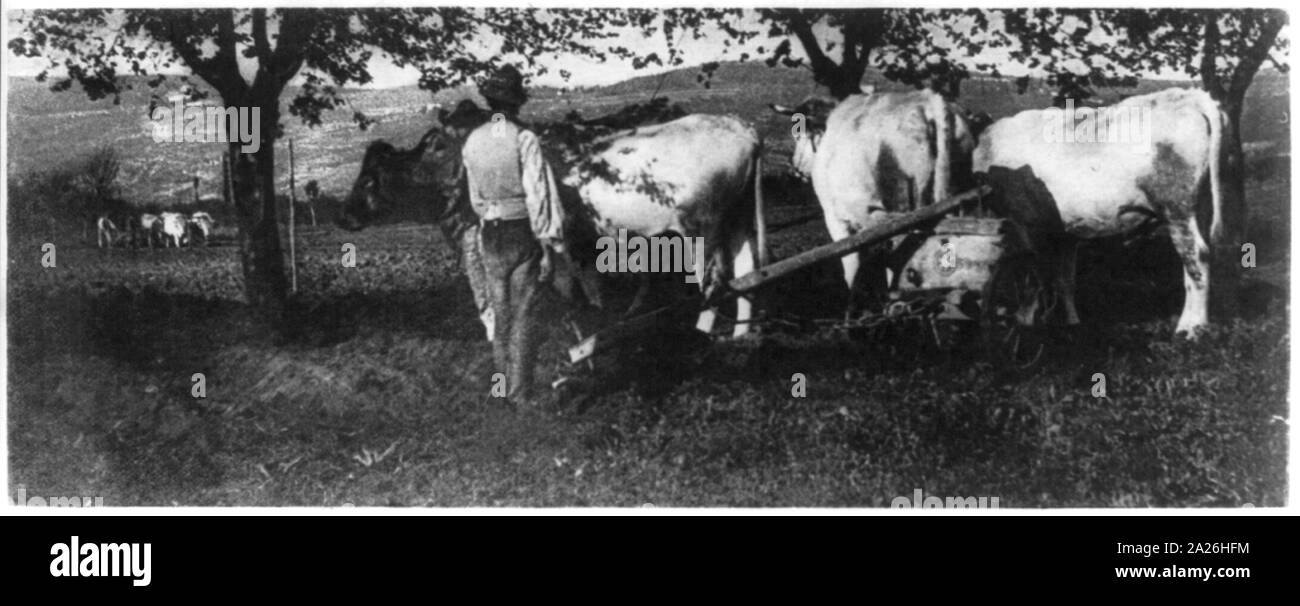 Team power Black and White Stock Photos & Images - Alamy