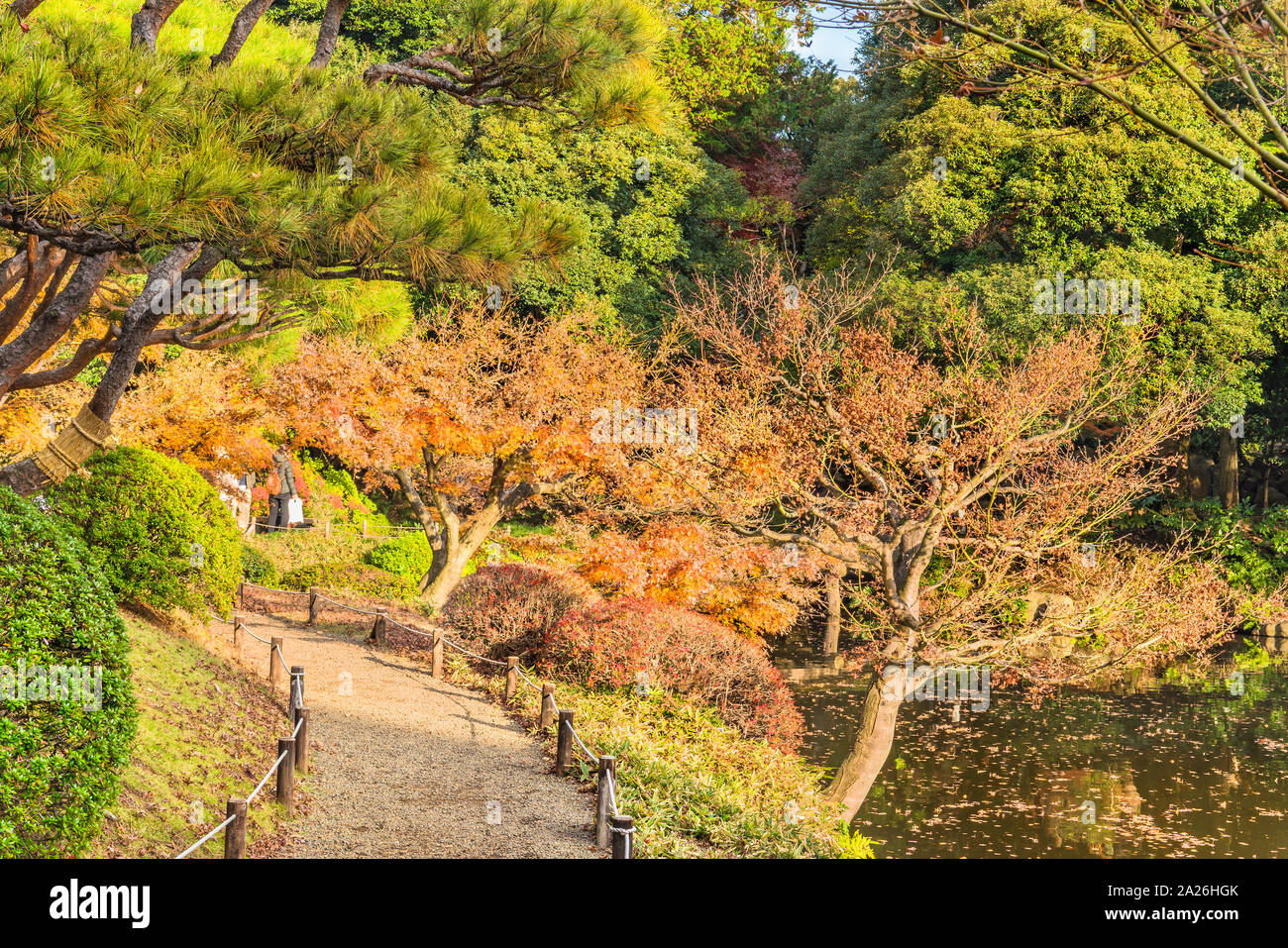 Tokyo Metropolitan Park KyuFurukawa's japanese garden's path ...