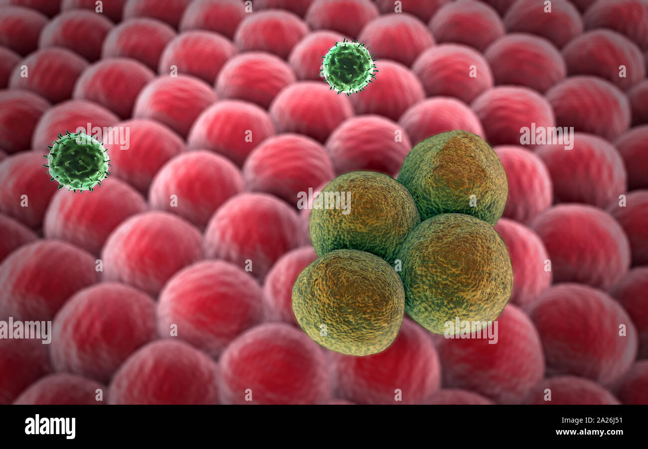 3d rendered cancer cell, Clusters of cells, T-lymphocytes attack a ...